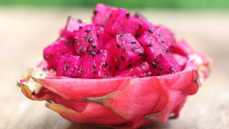 6 benefícios da pitaya para a sua saúde – Revista Cariri